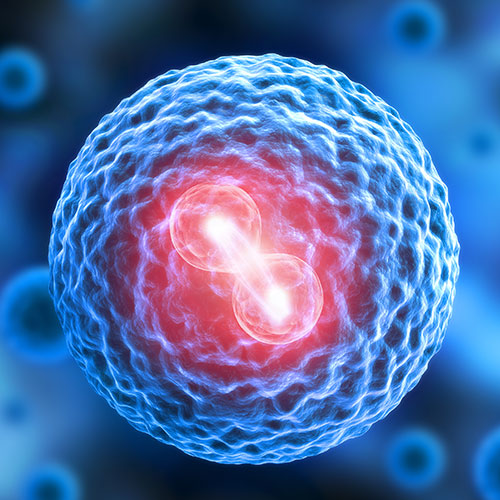 Andullation Therapy – Tibet Wellness Center